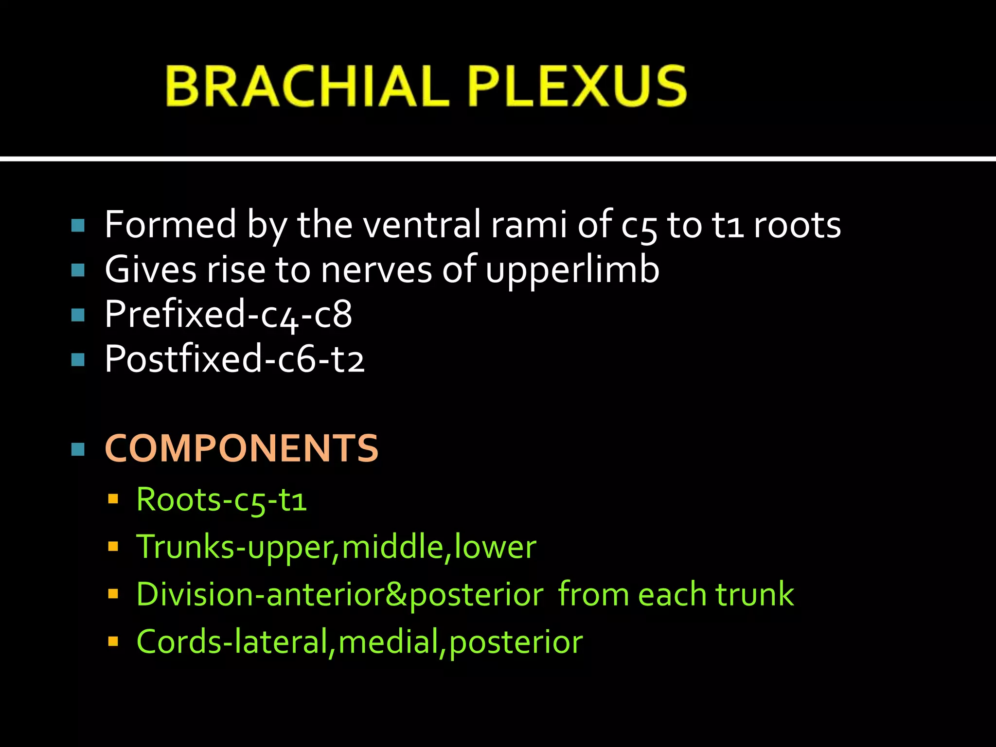 Nerve supply of upper limb.pptx