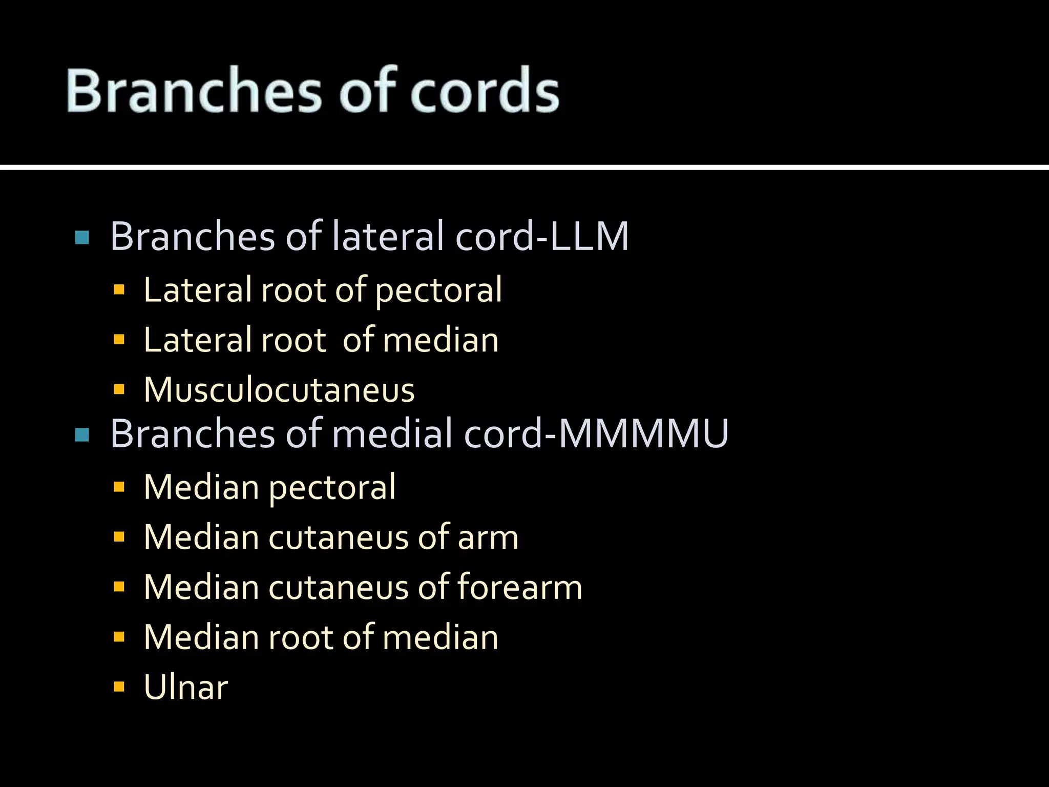 Nerve supply of upper limb.pptx