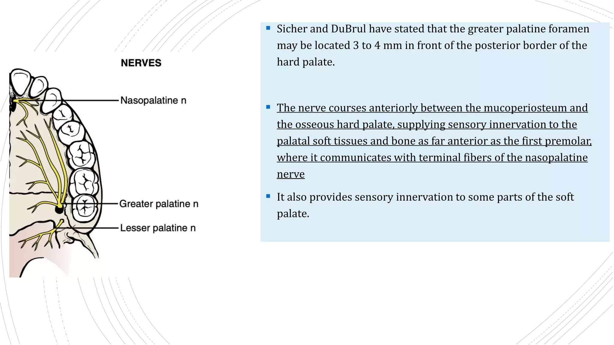nerve supply of maxilla and mandible | PPTX
