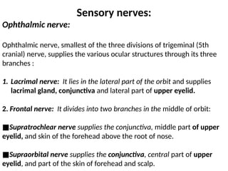 NERVE SUPPLY TO EYE.pptx NERVE SUPPLY TO EYE | PPTX