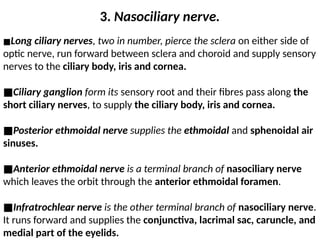 NERVE SUPPLY TO EYE.pptx NERVE SUPPLY TO EYE | PPT
