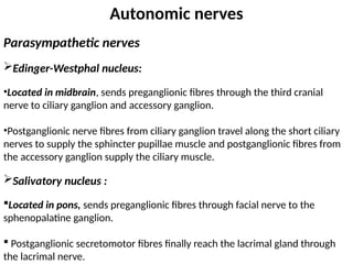 NERVE SUPPLY TO EYE.pptx NERVE SUPPLY TO EYE | PPTX