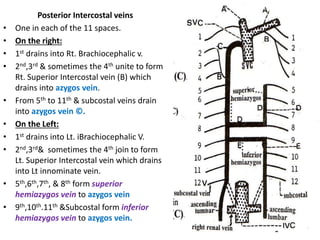 Nerves, vessels of thoracic wall | PPTX