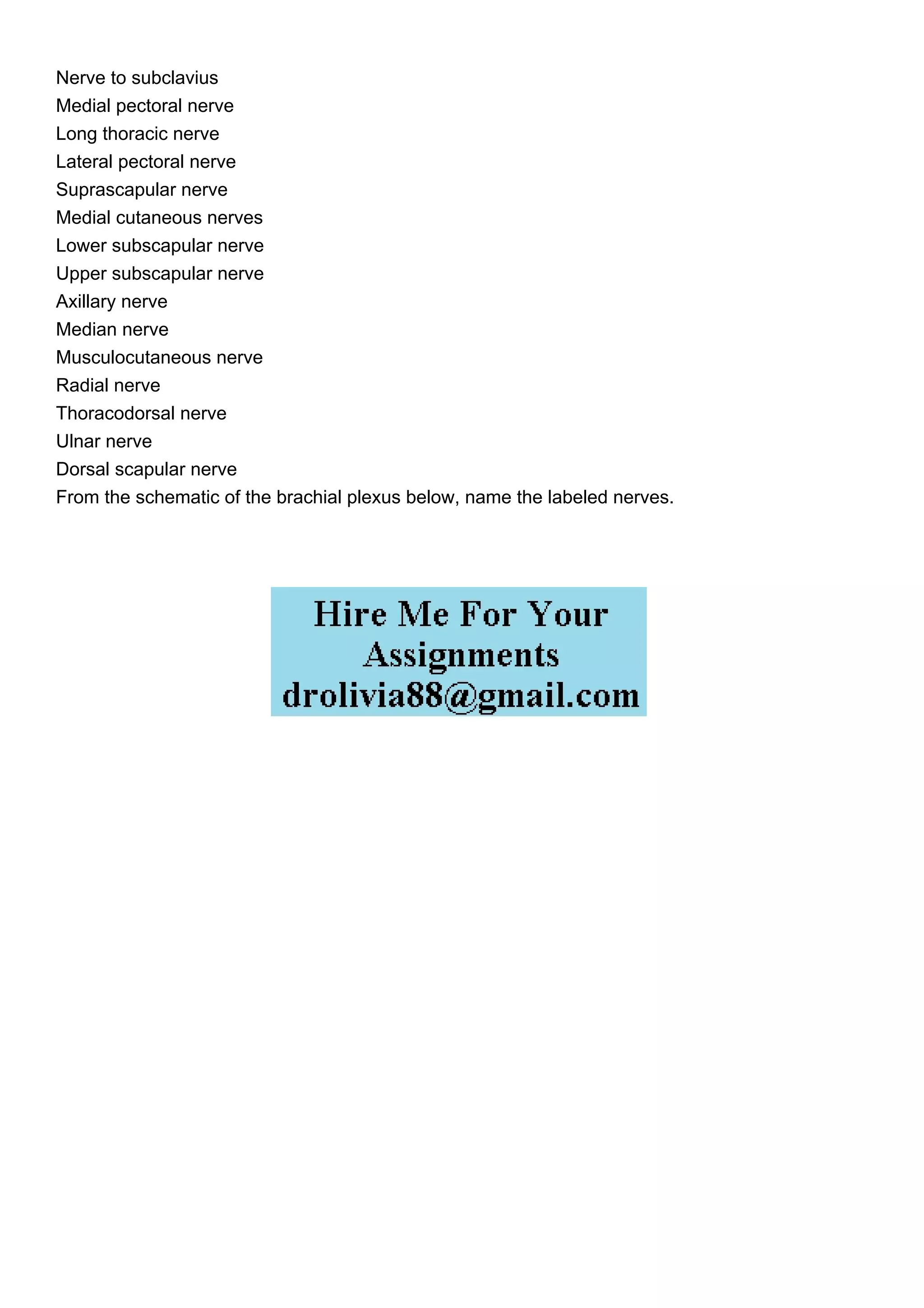 Nerve to subclavius Medial pectoral nerve Long thoracic nerv.pdf