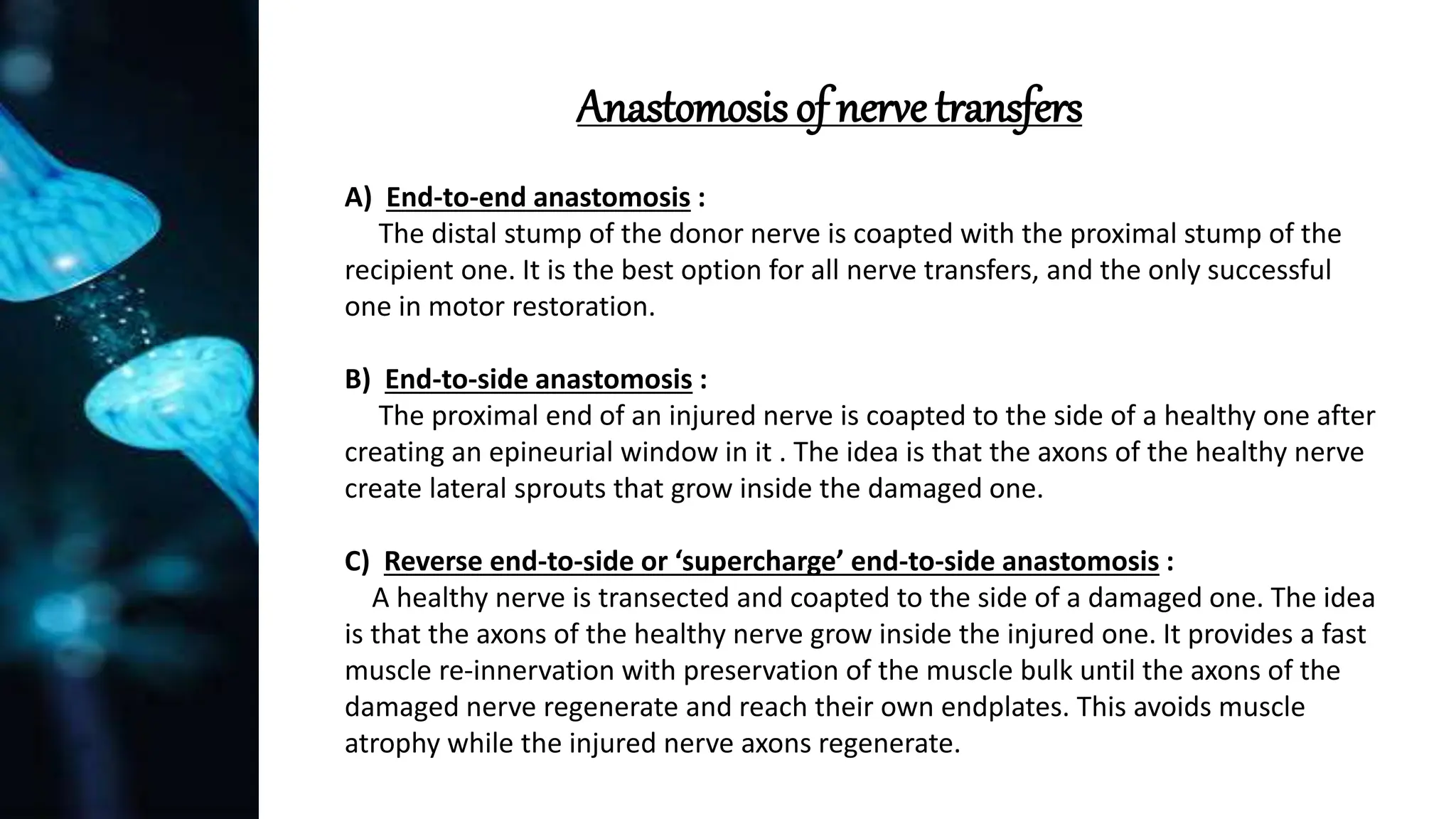 NERVE TRANSFER (Basic idea and types of nerve transfer) | PPTX