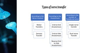 NERVE TRANSFER (Basic idea and types of nerve transfer) | PPTX