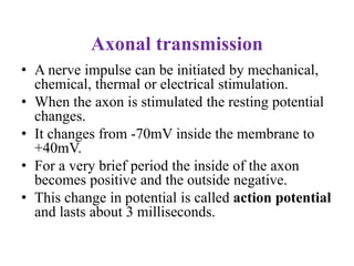 Nerve transmission | PPTX