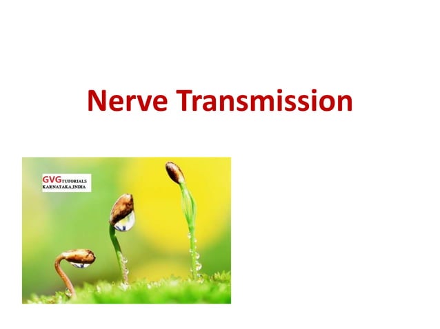 Nerve transmission | PPT