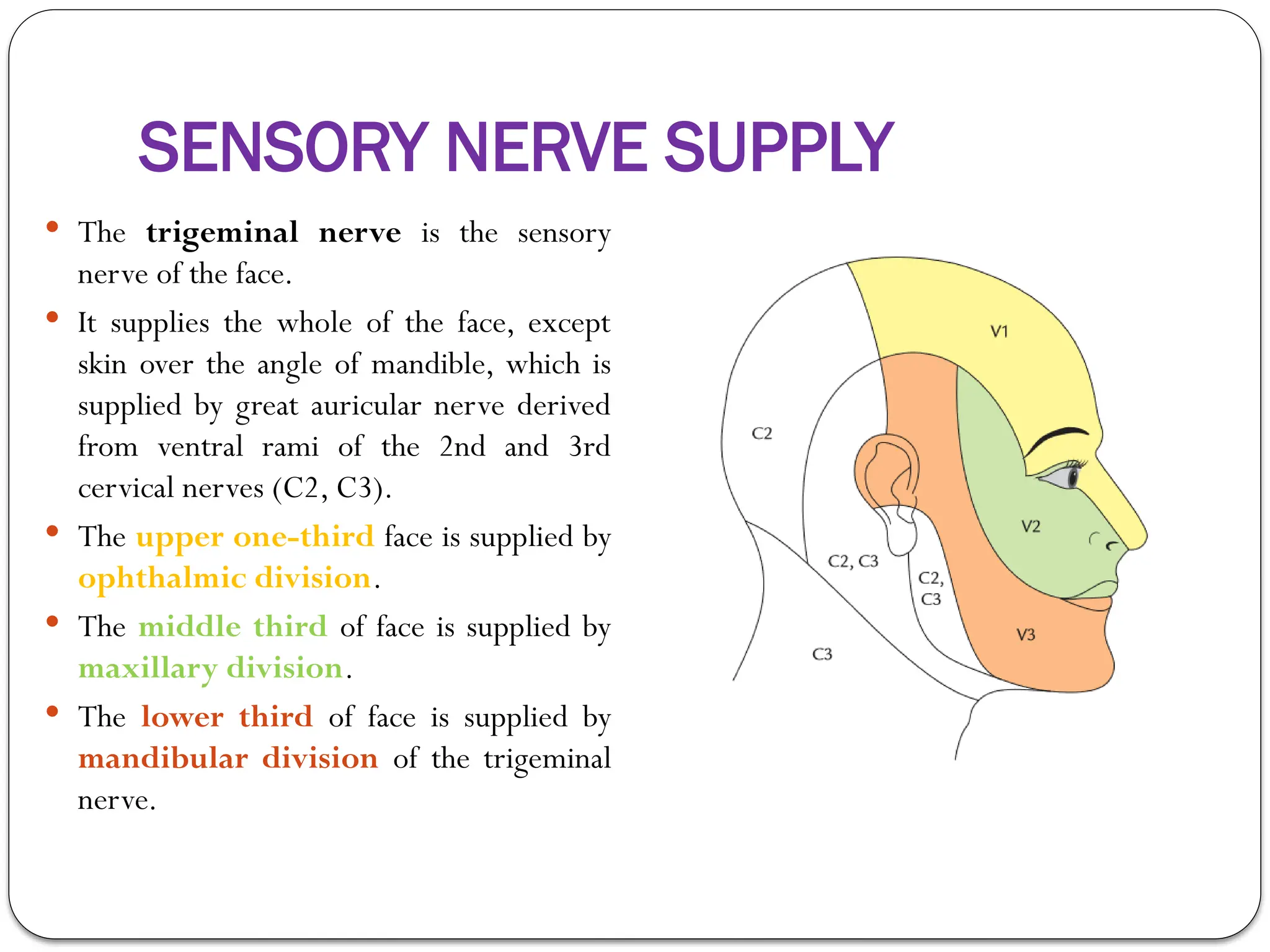 Nerve,Vessels & Lymphatic Drainage of Face.pptx