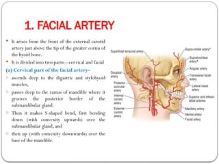 Nerve,Vessels & Lymphatic Drainage of Face.pptx
