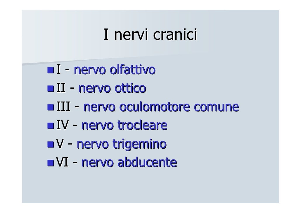 Nervi cranici