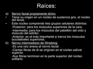 Nervio facial | PPT