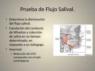 Nervio Facial: Anatomía para cirujanos otorrinolaringólogos | PPTX