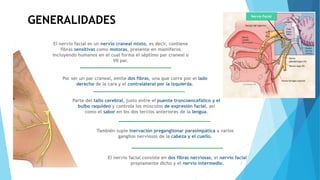 NERVIO FACIAL VII PAR | PPTX