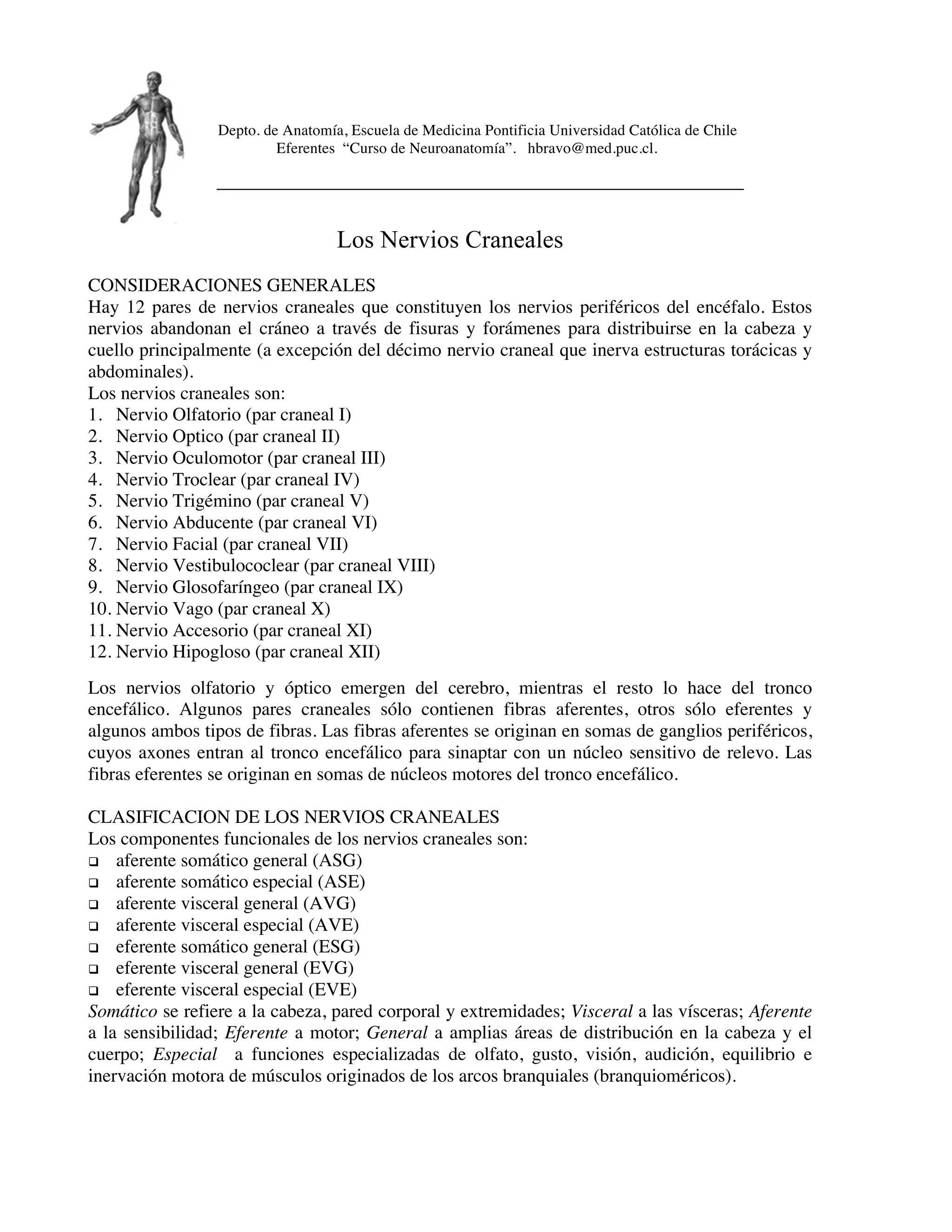 Nervios Craneales | PDF
