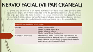 NERVIOS CRANEALES.pptx