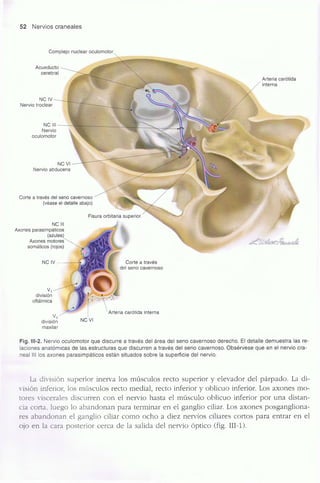 Nervios Craneales. En la salud y en la enfermedad.pdf