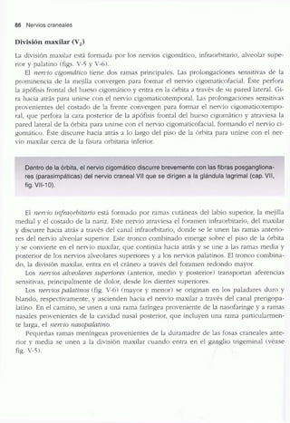 Nervios Craneales. En la salud y en la enfermedad.pdf