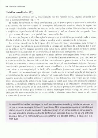 Nervios Craneales. En la salud y en la enfermedad.pdf