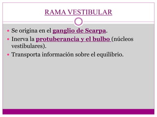 Nervios craneales (fisio) | PPTX
