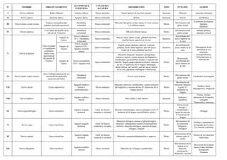 Nervios craneales humanav 2.pdf
