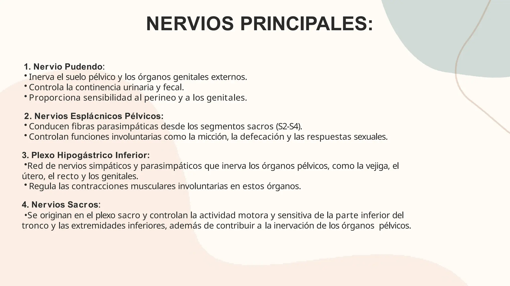 NERVIOS DE LA PELVIS.pptxxxxxxxxxxxxxxxx | PPTX