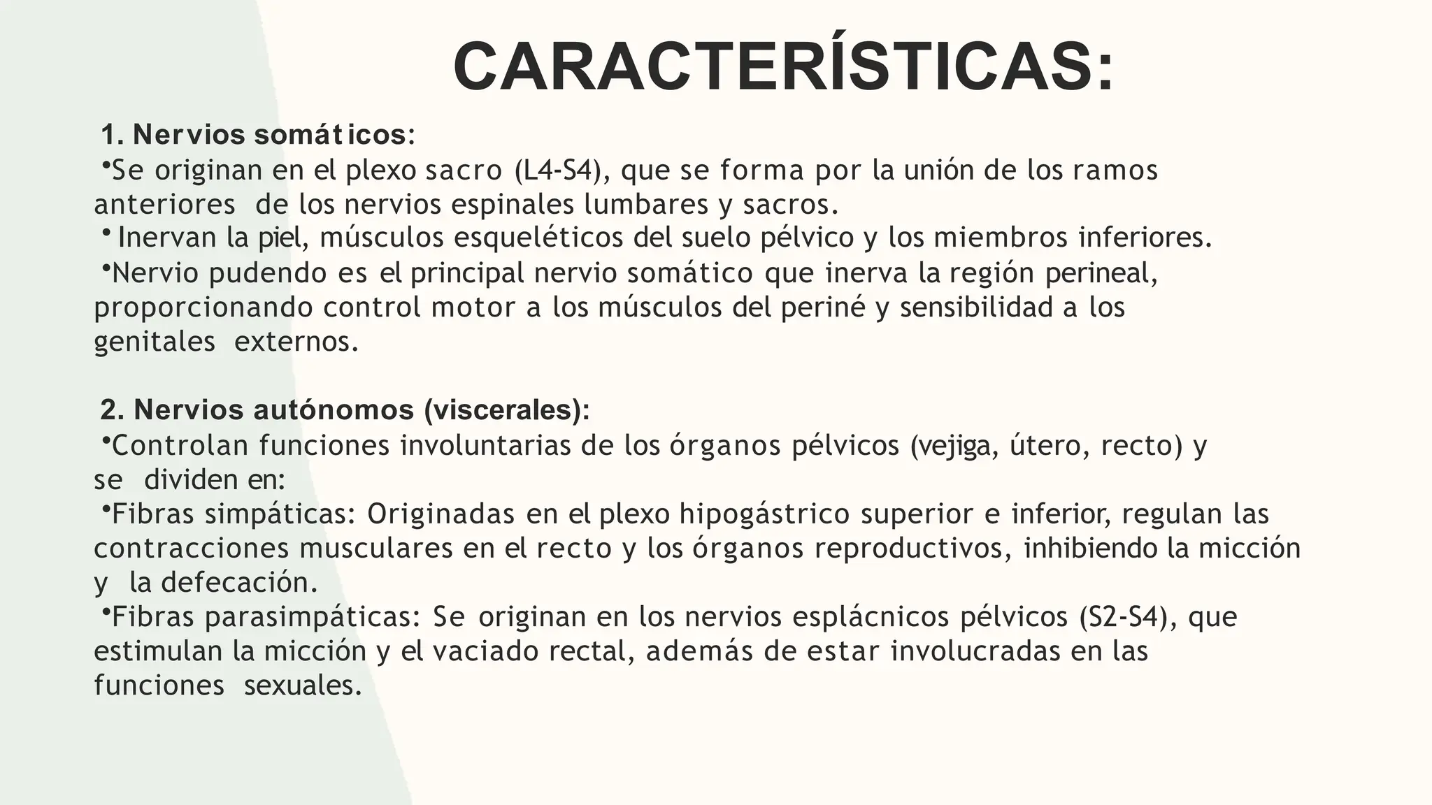 NERVIOS DE LA PELVIS.pptxxxxxxxxxxxxxxxx | PPTX