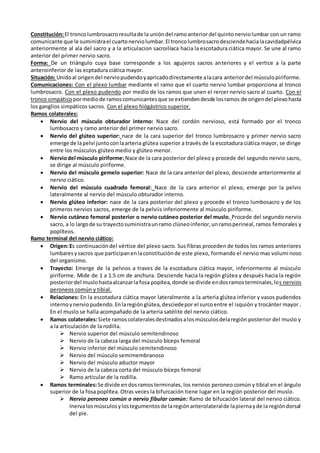 Nervios del miembro inferior | DOCX
