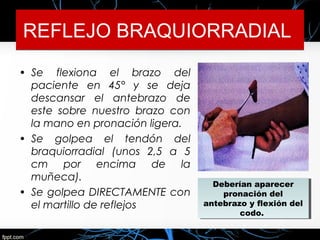 Semiología - Sistema Nervioso | PPT