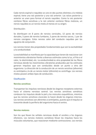 Nervios raquídeos | PDF