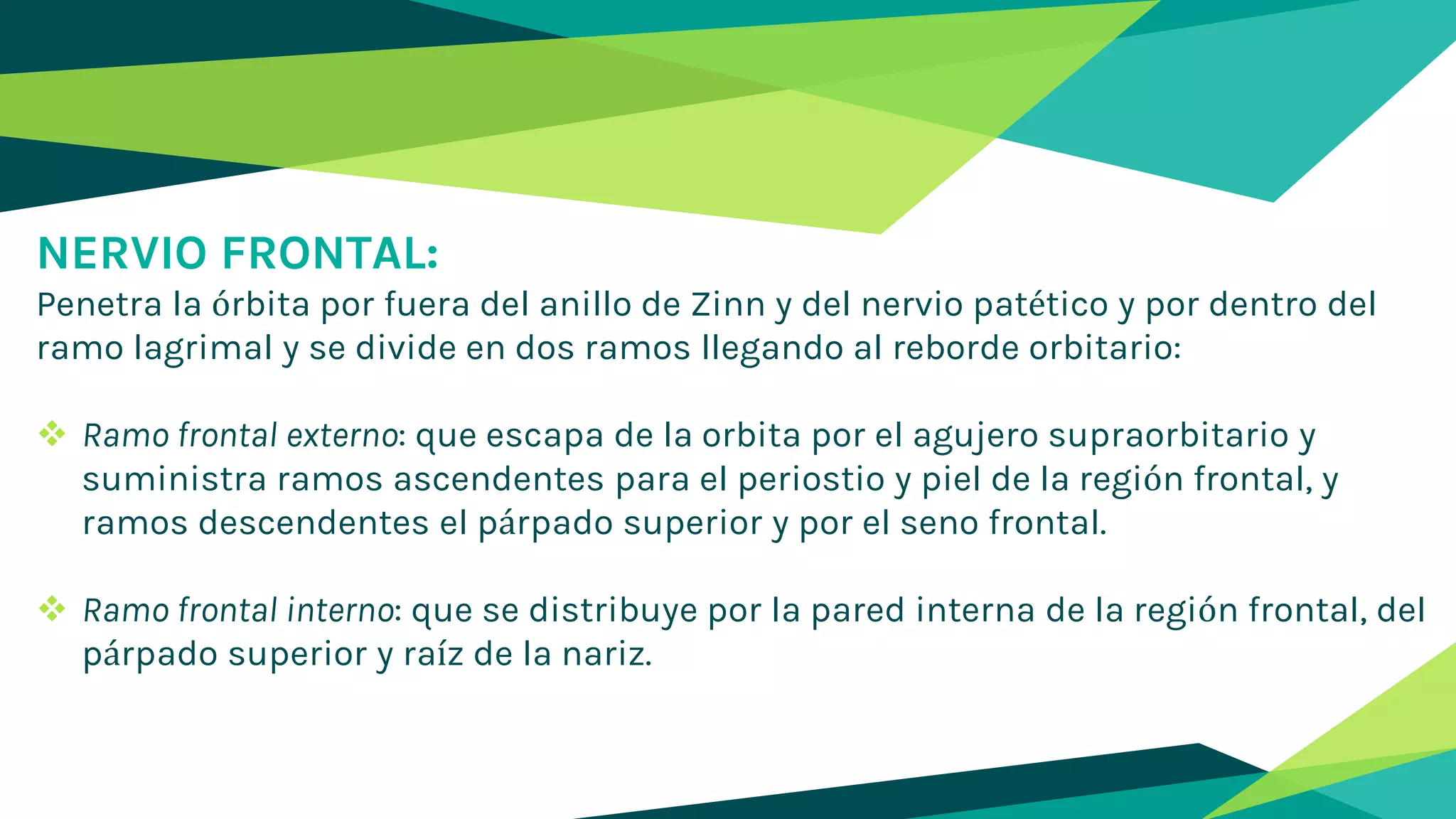 Nervio trigémino (5to par craneal) | PPTX