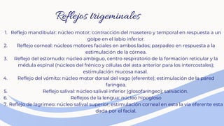 Nervio Trigémino (V par craneal) (1).pdf