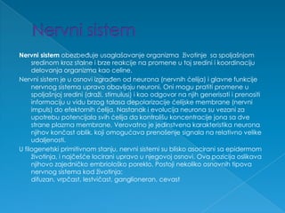 Nervni sistem | PPTX