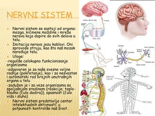 Nervni sistem | PPTX