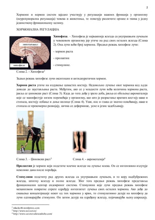 Ендокрини и нервни систем | DOCX