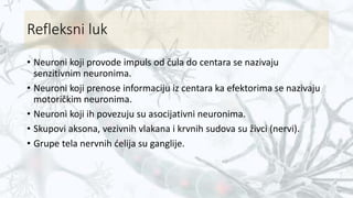 Nervni sistem | PPTX