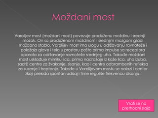 Nervni sistem - Jelena Stojanović - Jasmina Miljković | PPS