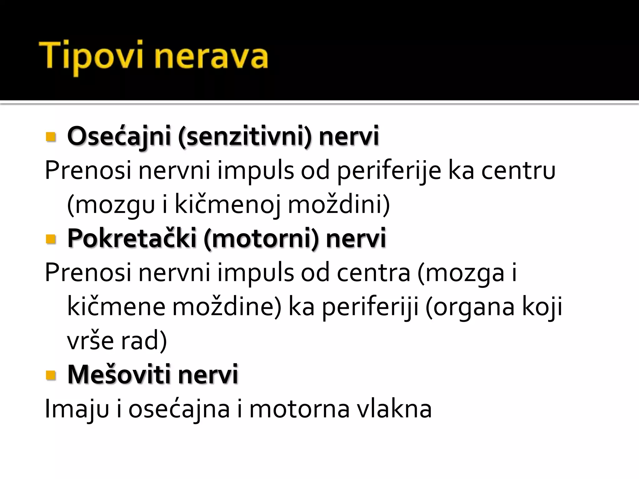 Nervni sistem-osnovna građa | PPTX