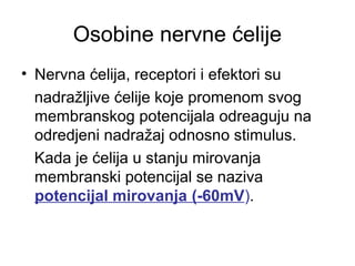 Nervni sistem nervni impuls | PPT
