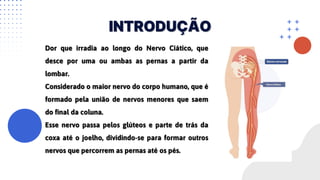 Nervo Ciático - Causas, Sintomas e Tratamento | PDF