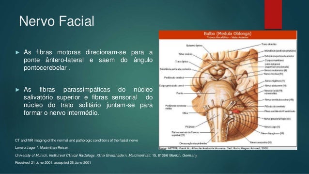 Nervo facial