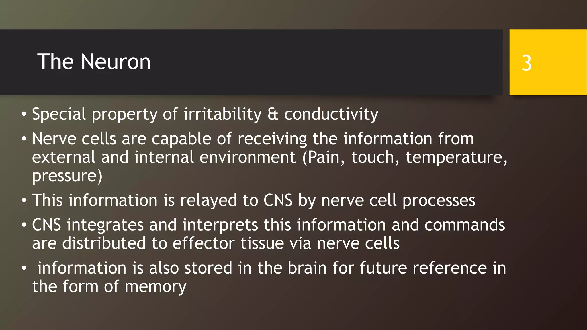 Nervous tissue histology | PPTX