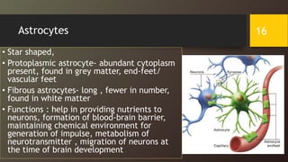 Nervous tissue histology | PPTX