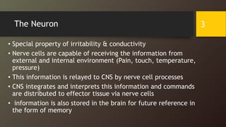 Nervous tissue histology | PPTX