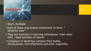 Nervous tissue histology | PPTX