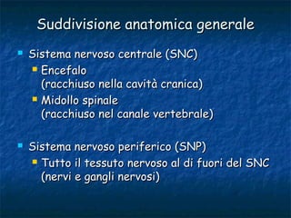 Nervoso | PPT