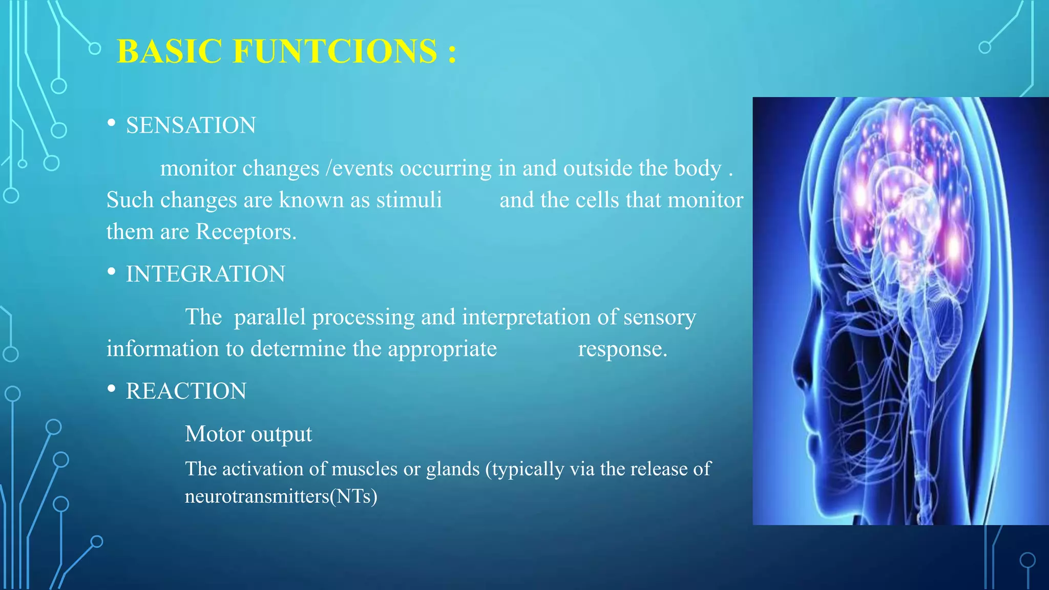 Nervous system ppt | PPTX