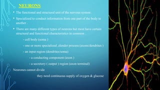 Nervous system ppt | PPTX