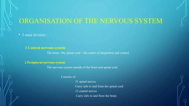 Nervous system ppt | PPT