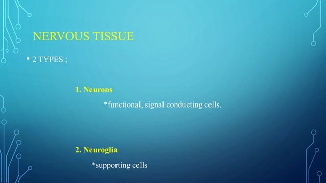 Nervous system ppt | PPTX